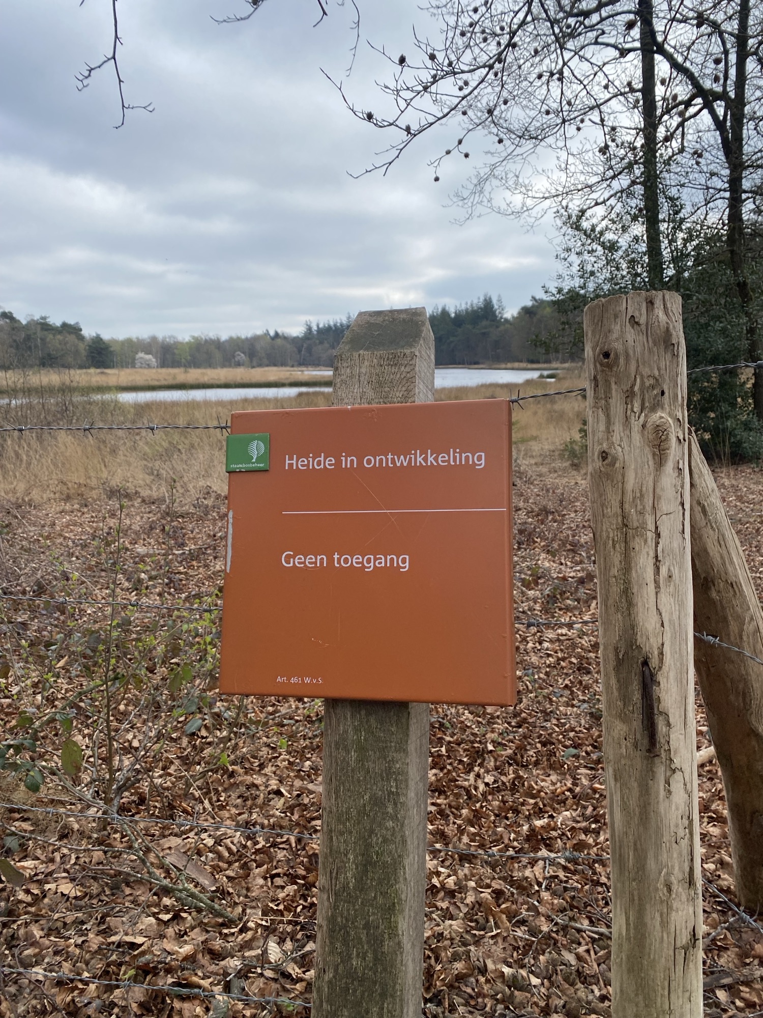 Heide (of hoe onbeteugelde flauwekul me weer hielp schrijven) | Dagboek ...